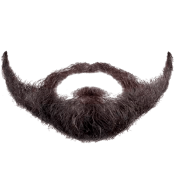 Beard PNG – High Resolution & No Background